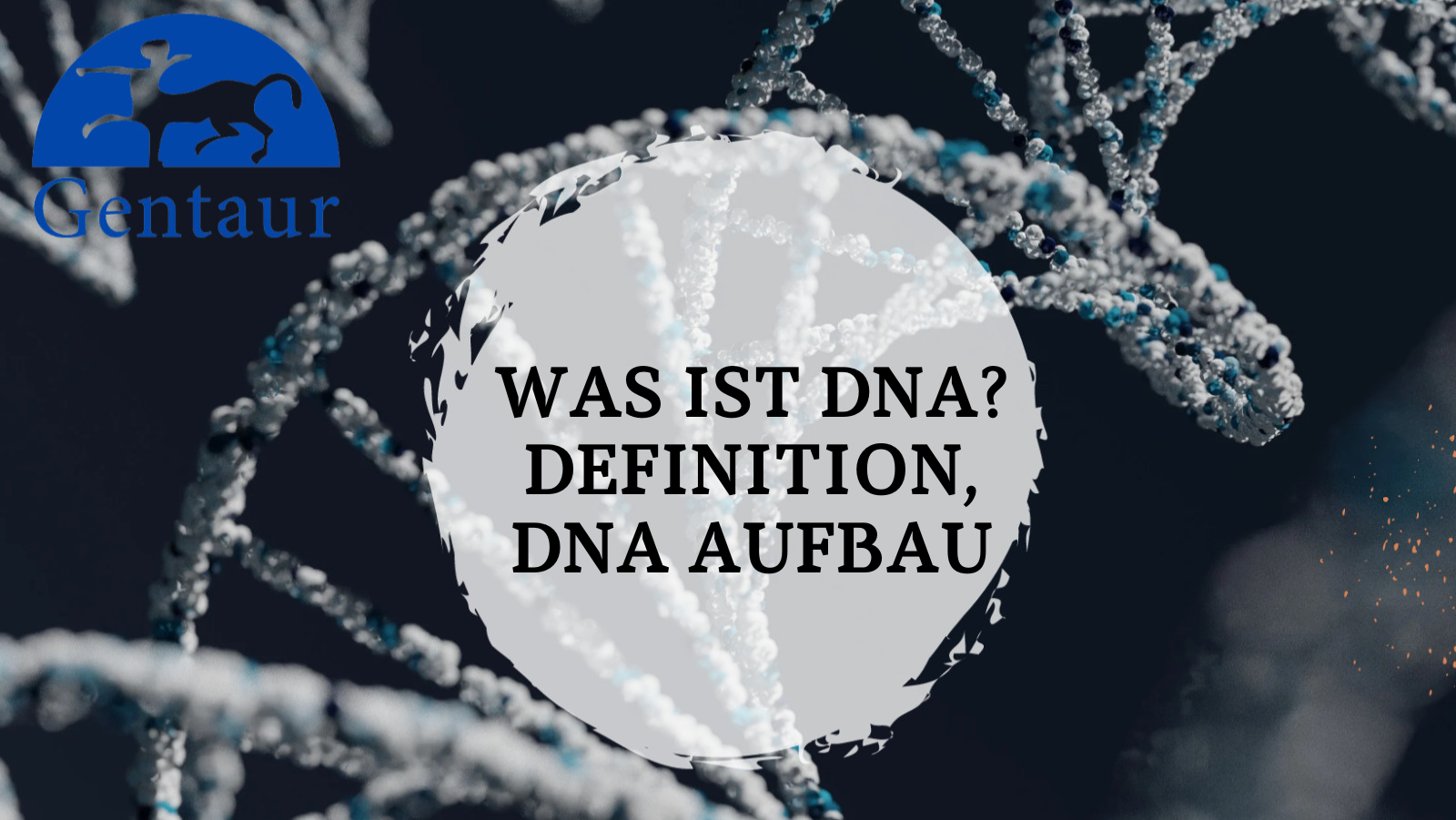Was ist DNA? - Definition, Funktion, dna aufbau - Molekularbiologische ...